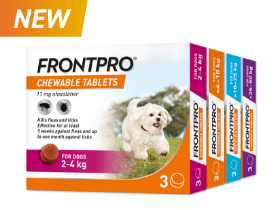 Vet Strength Flea & Tick Treatments for Cats & Dogs | FRONTLINE